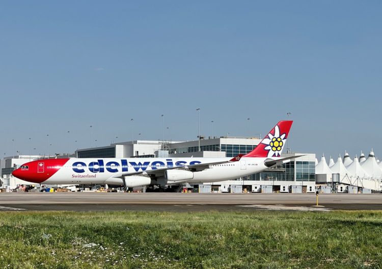 Edelweiss reinició sus vuelos a Denver – ALNNEWS